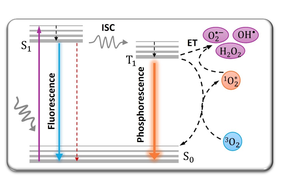 Liu's Research Group