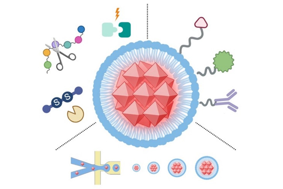 Liu's Research Group