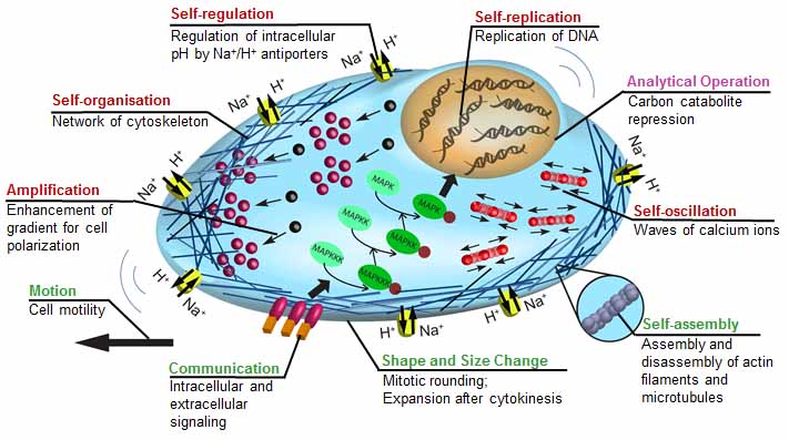 Molecules in Motion